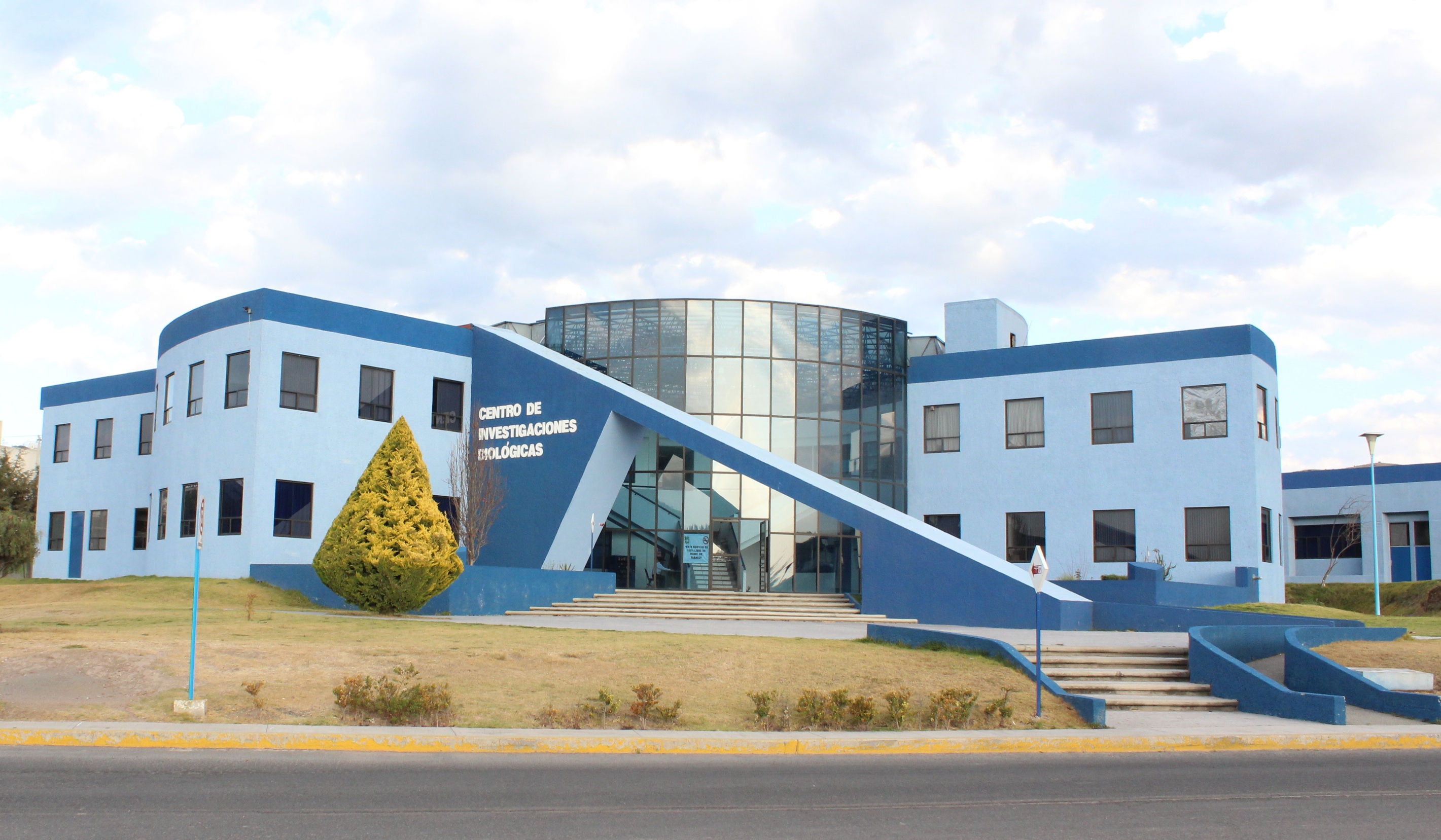 ICBI :: Antecedentes