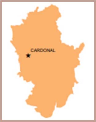 Municipio - Información