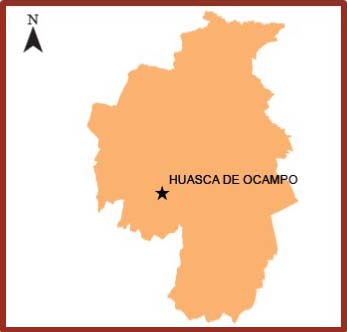 Municipio - Información