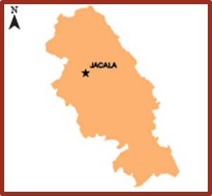 Municipio - Información