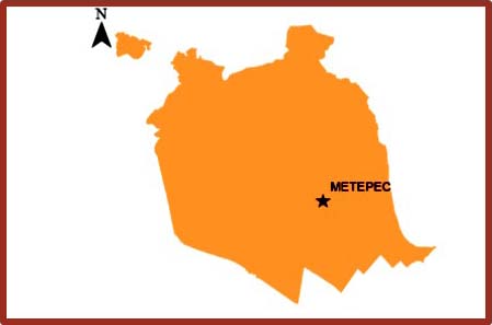 Municipio - Información