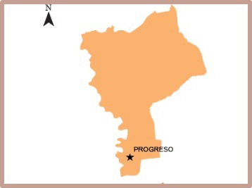 Municipio - Información