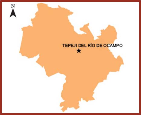 Municipio - Información