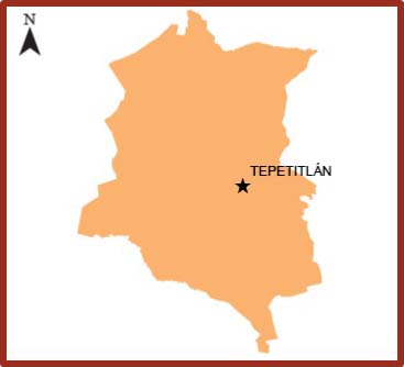 Municipio - Información