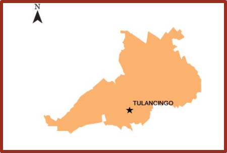 Municipio - Información