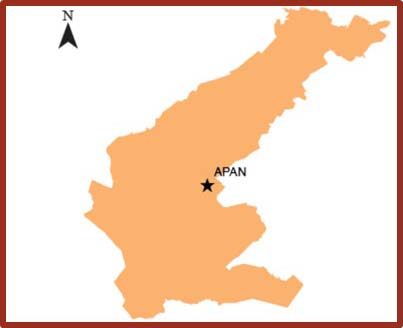 Municipio - Información