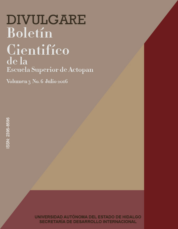 Boletín Científico Divulgare No. 4