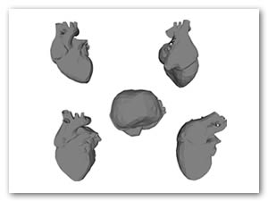 Boletín Científico :: UAEH