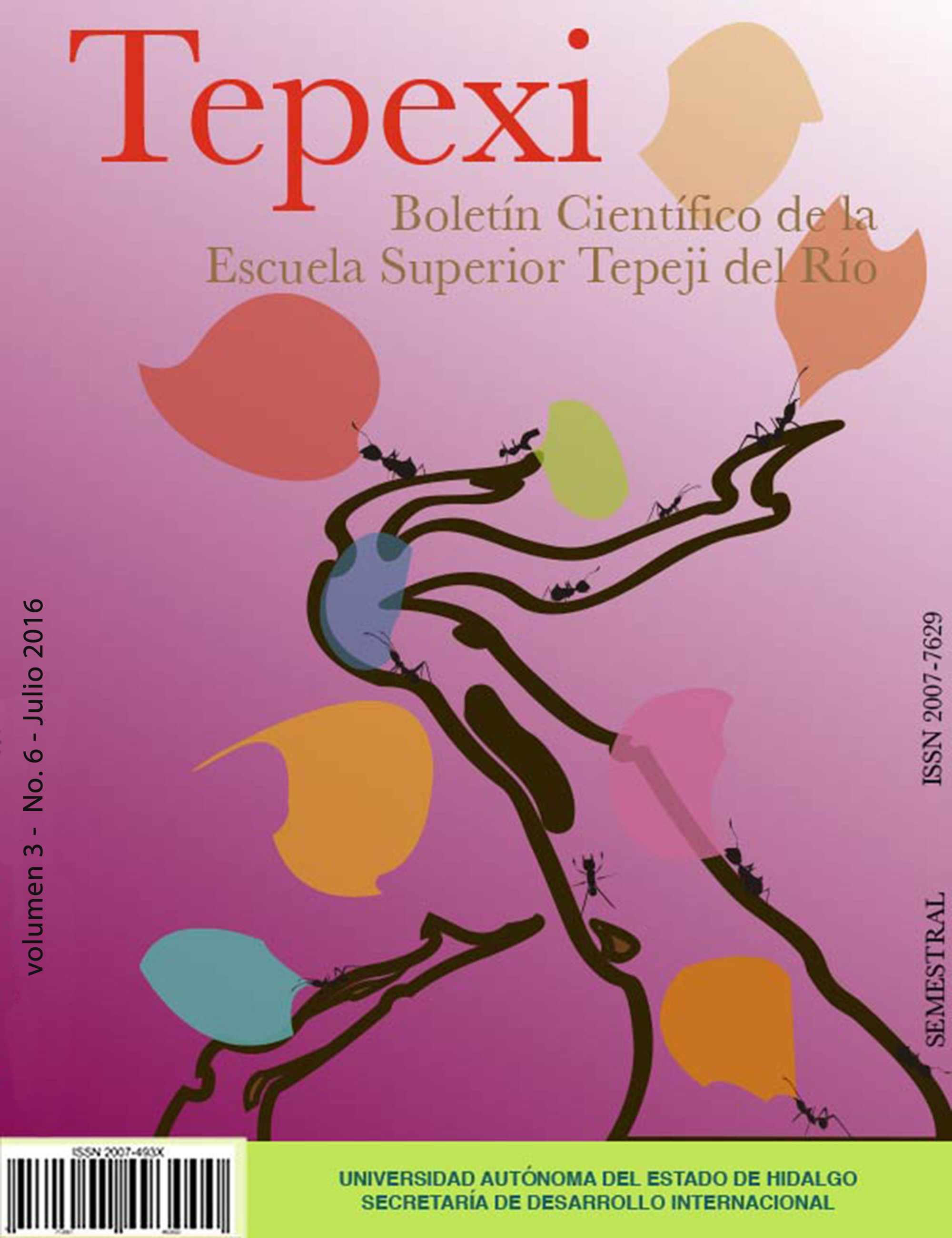 Boletín Científico - Tepexi No. 6