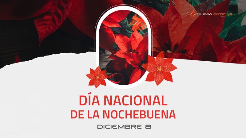 SUMA Noticias - Un día como hoy | 8 diciembre, Día Nacional de la ...
